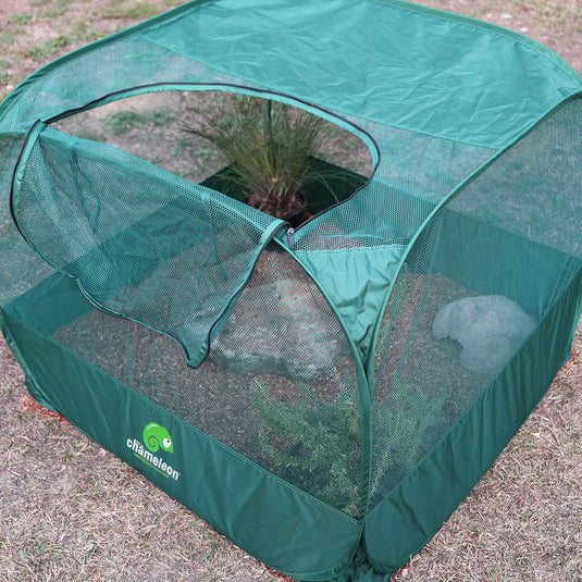 Pop-up Temporary Enclosures – Pop-up Chameleon